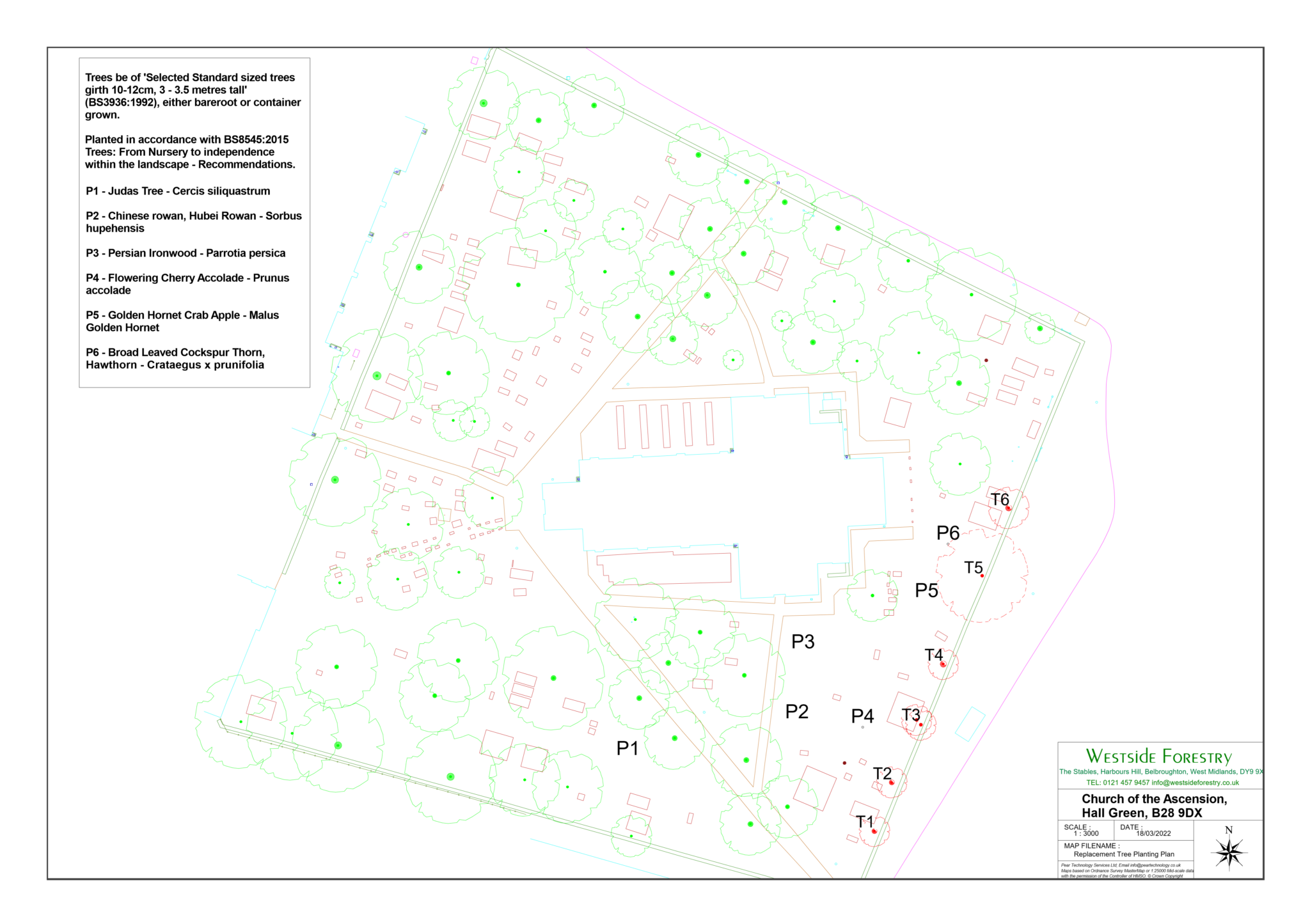 Tree Planting Scheme - Church of The Ascension